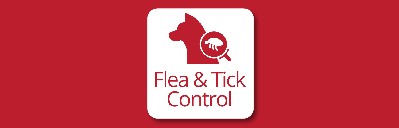 Flea & Tick Control | Jodiabaazar.com – JodiaBaAzar.com